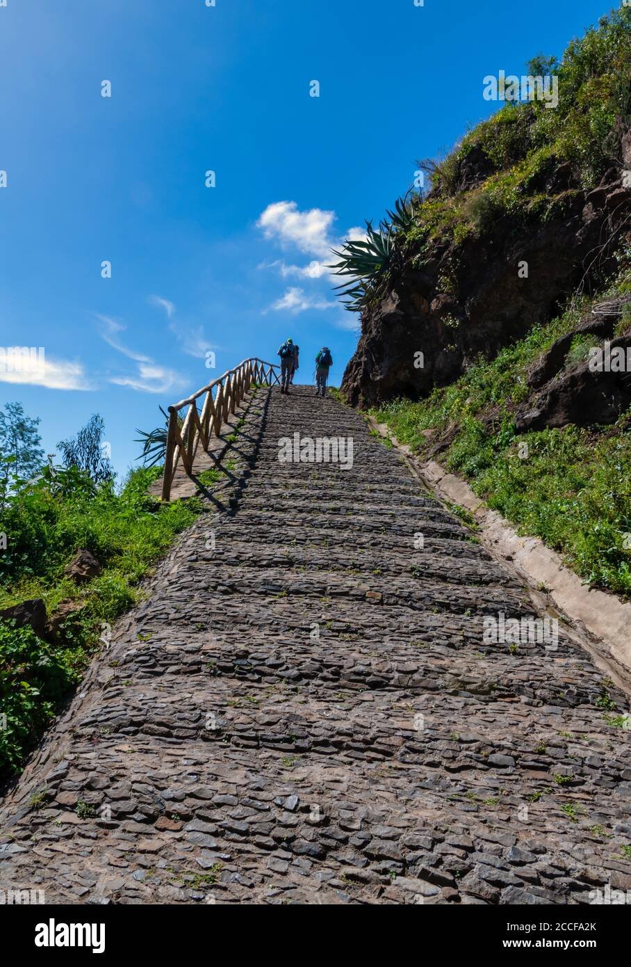 Hike on the Levadas to Monte - 'Levada dos Tornos' Funchal, Madeira ...