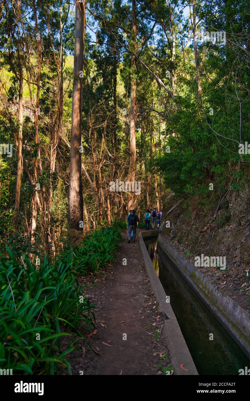 Hike on the Levadas to Monte - 'Levada dos Tornos' Funchal, Madeira ...