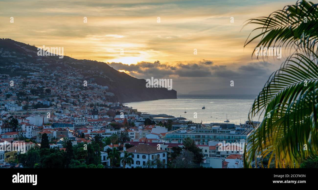 Funchal early with sunrise, Madeira, Portugal Stock Photo - Alamy