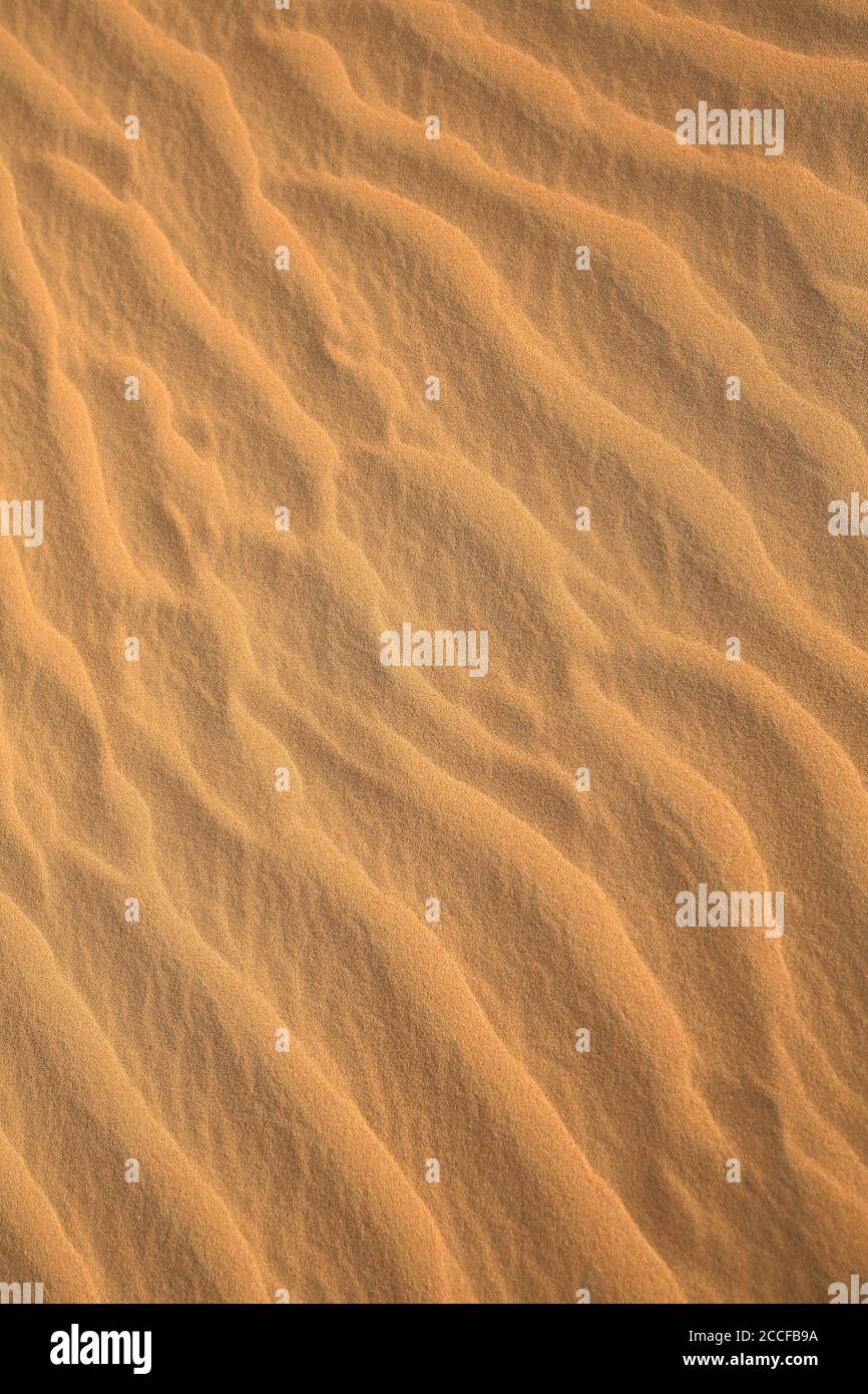 Desert type hi-res stock photography and images - Alamy