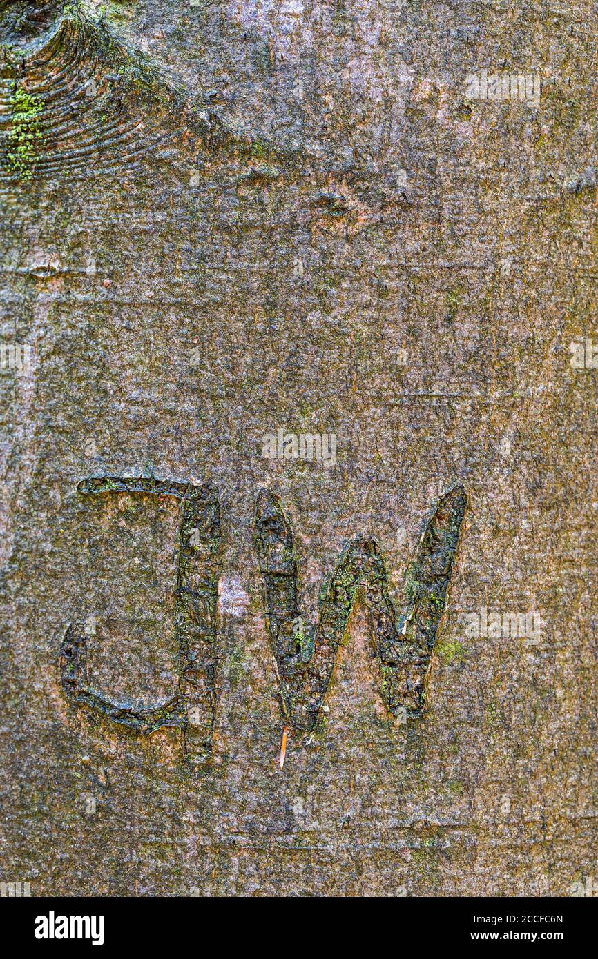 Letters carved into tree hi-res stock photography and images - Alamy