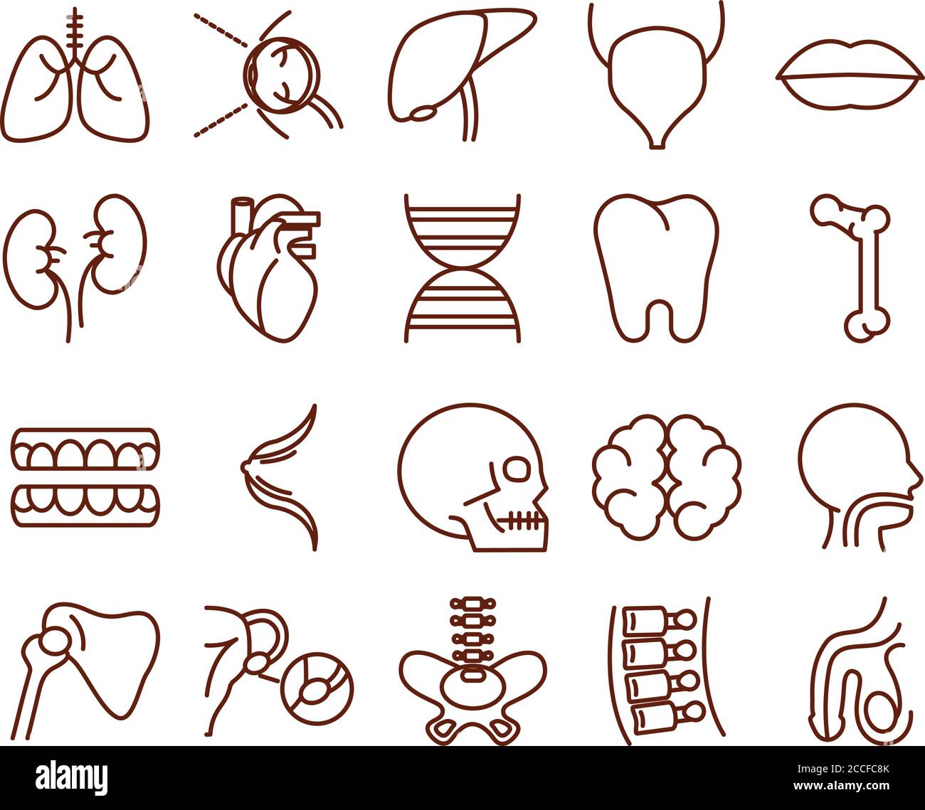 human body anatomy organs health icons collection line style vector ...