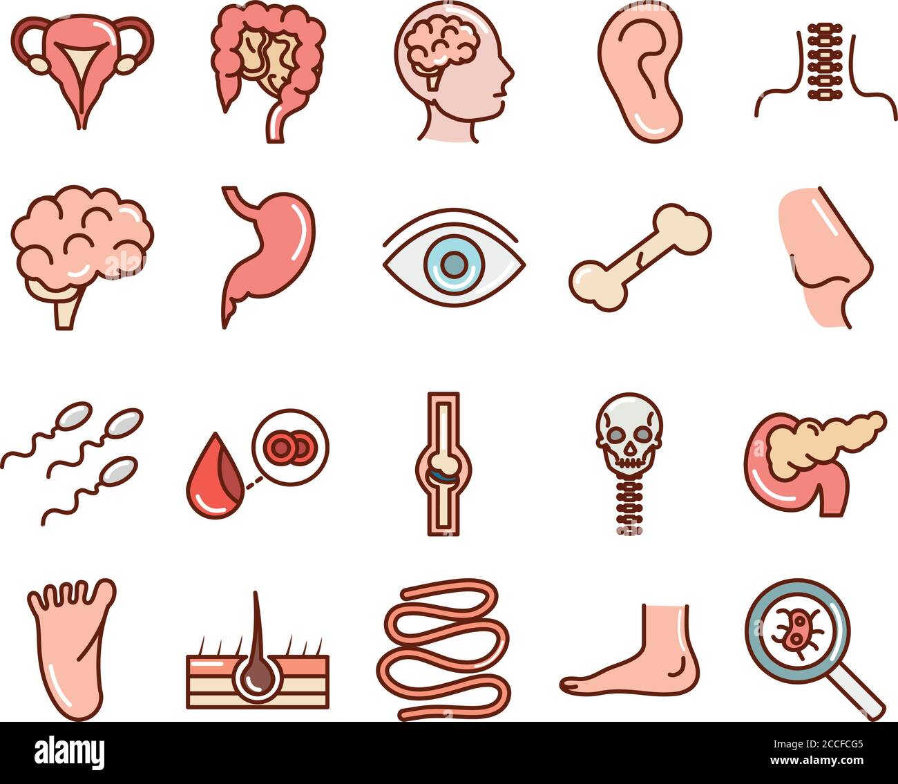 human body anatomy organs health intestine eye bone nose foot blood ...