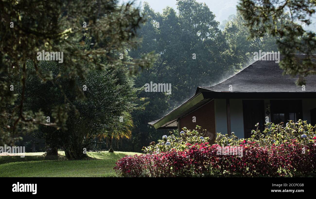 Blooming cherry trees terrace hi-res stock photography and images - Alamy