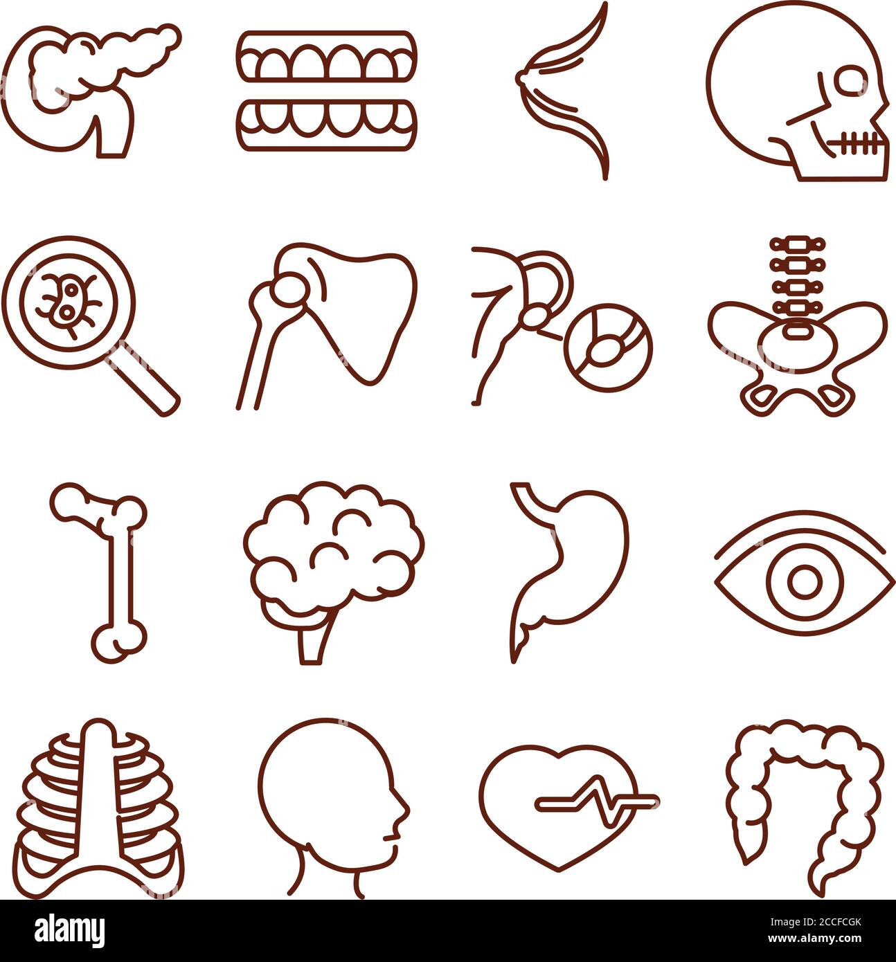 human body anatomy organs health icons collection line style vector ...