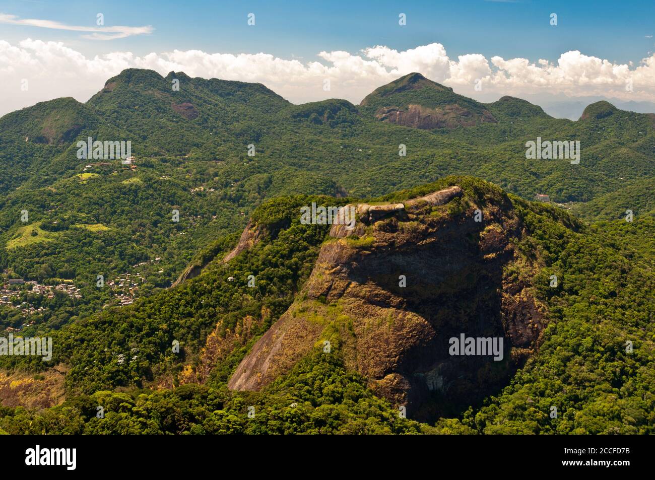 Tijuca forest hi-res stock photography and images - Alamy
