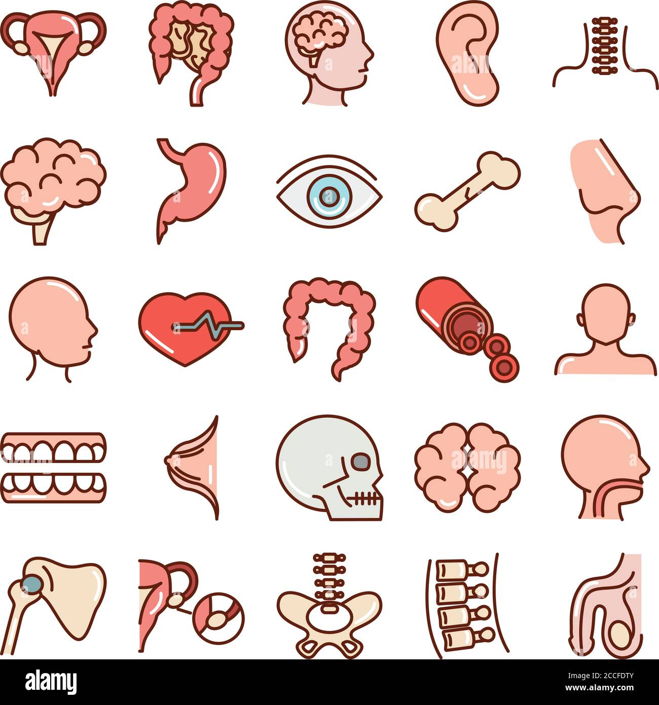 human body anatomy organs health intestine head ear blood skull brain ...