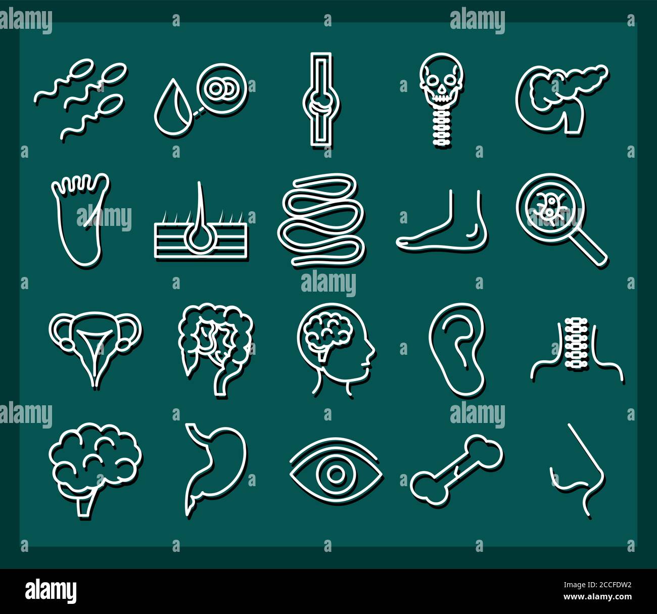 human body anatomy organs health icons collection line style vector ...