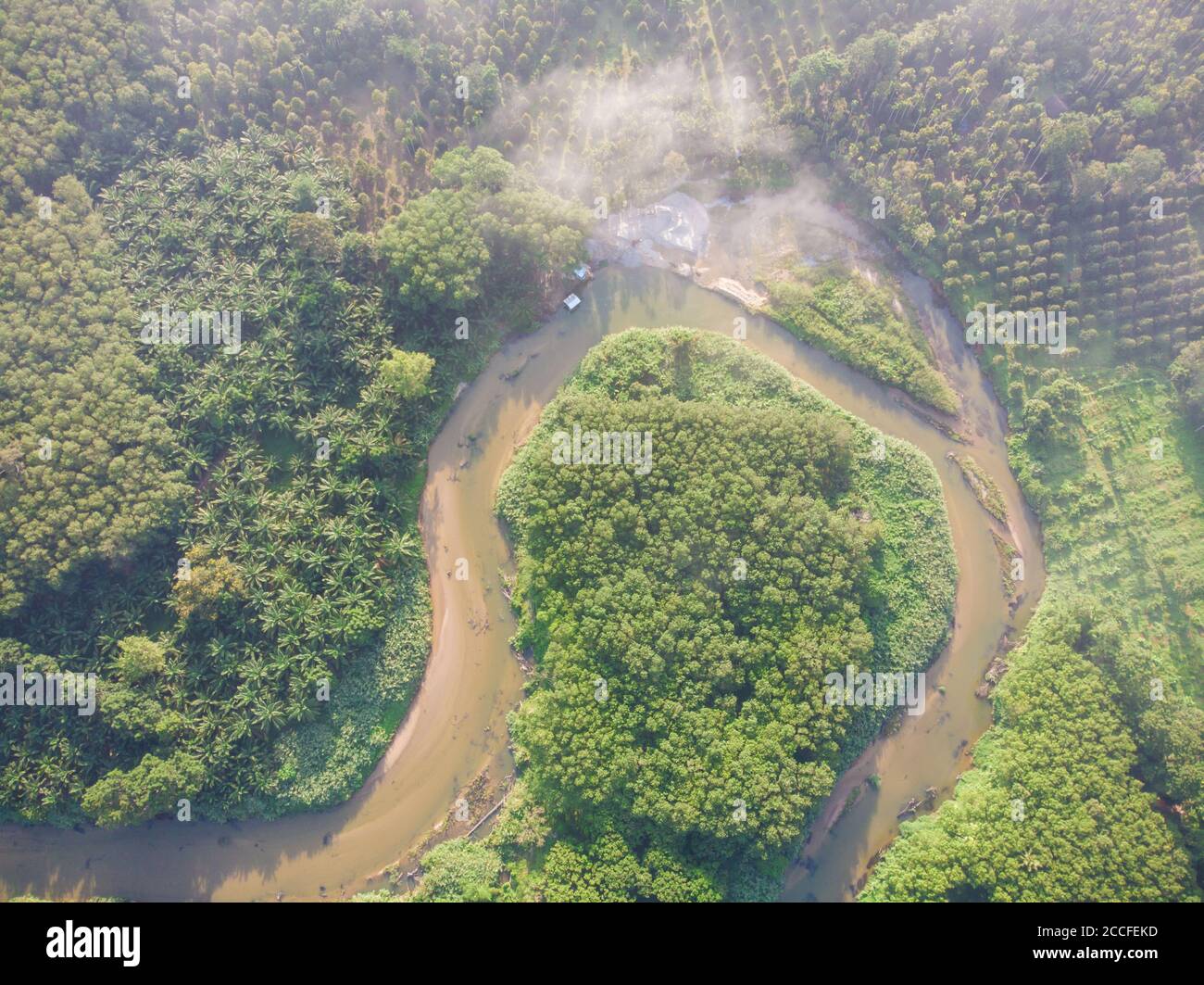 Tropical rainforest canal river morning light with fog southern of ...