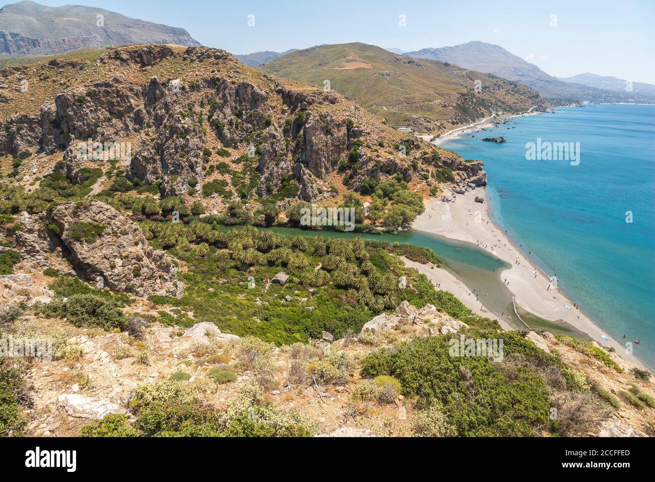 Cretan date palm hi-res stock photography and images - Alamy