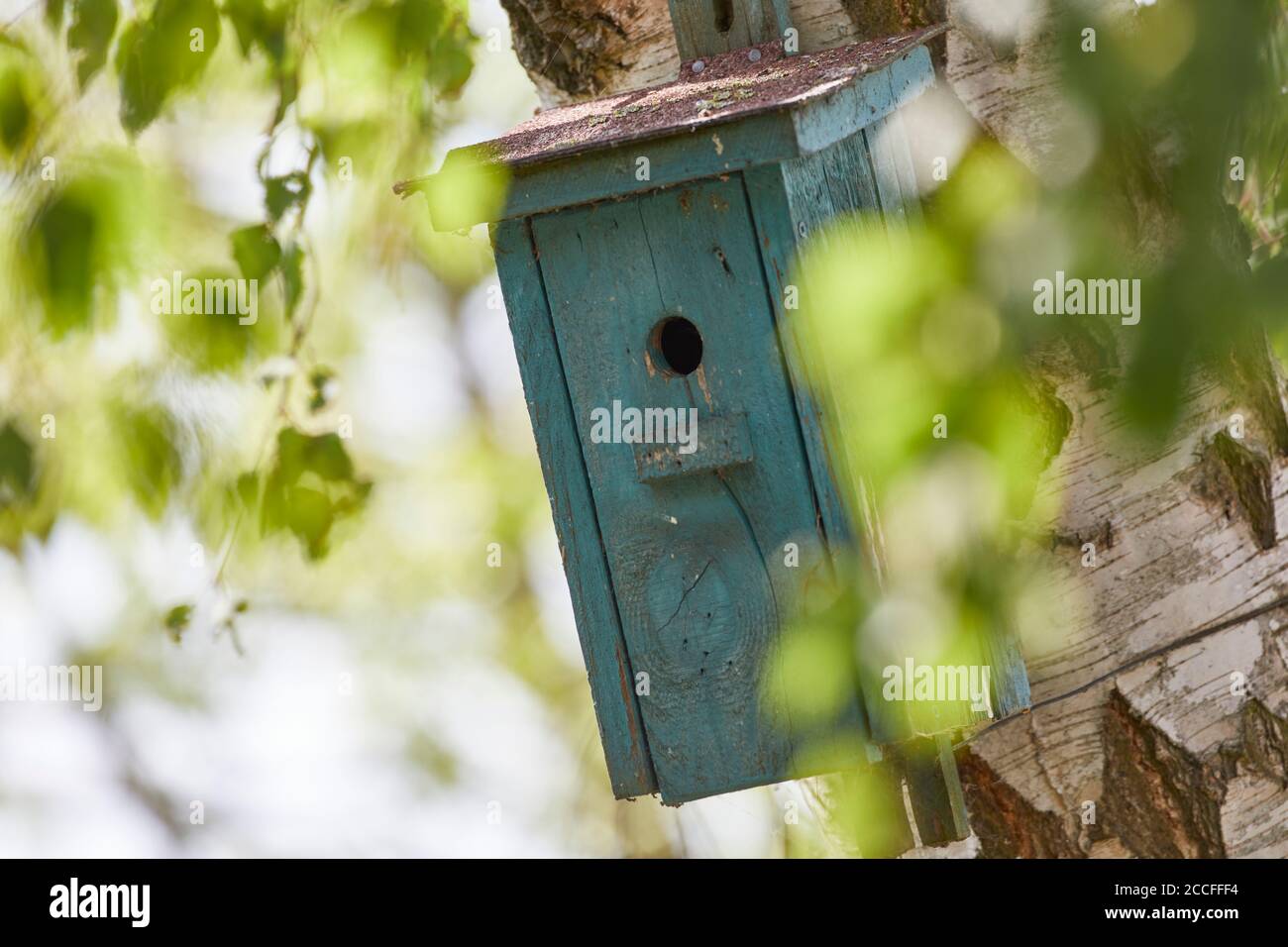 Nesting log hi-res stock photography and images - Alamy