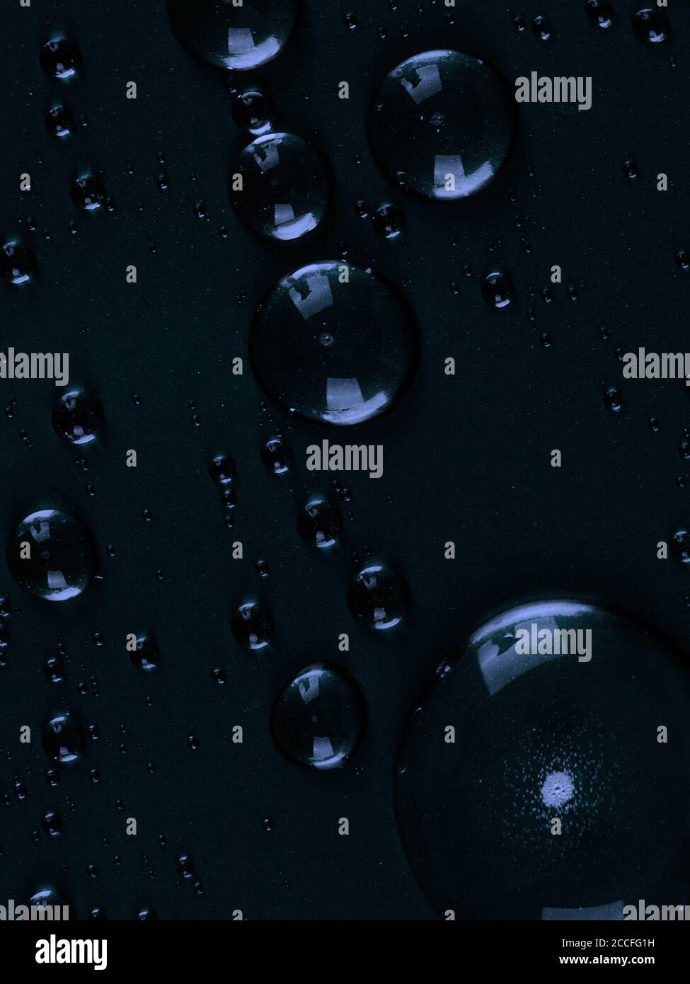 drops of blue dark background as a backing. Large drops close up ...