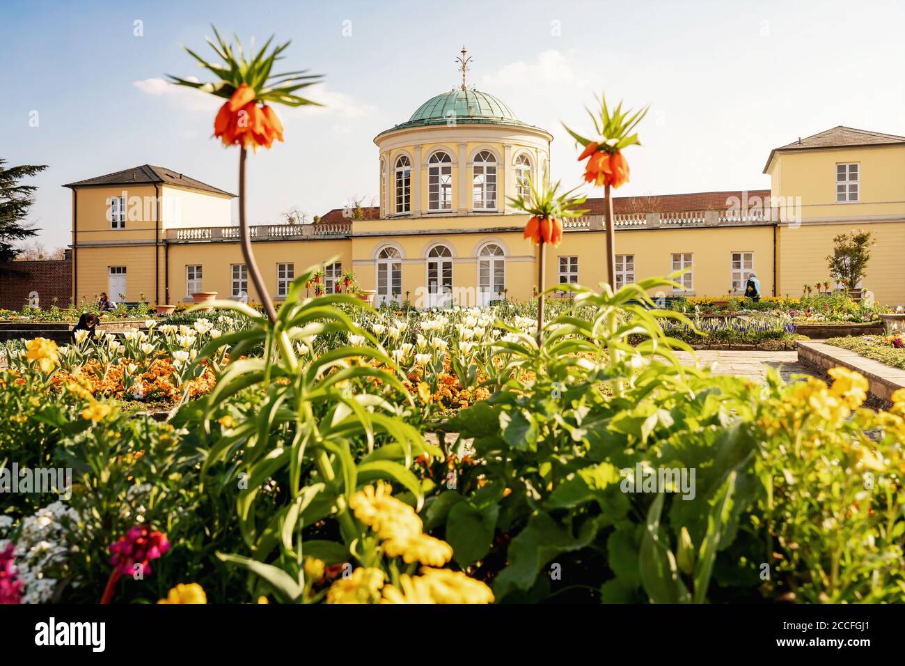 Spring in the mountain garden in hanover hi-res stock photography and ...