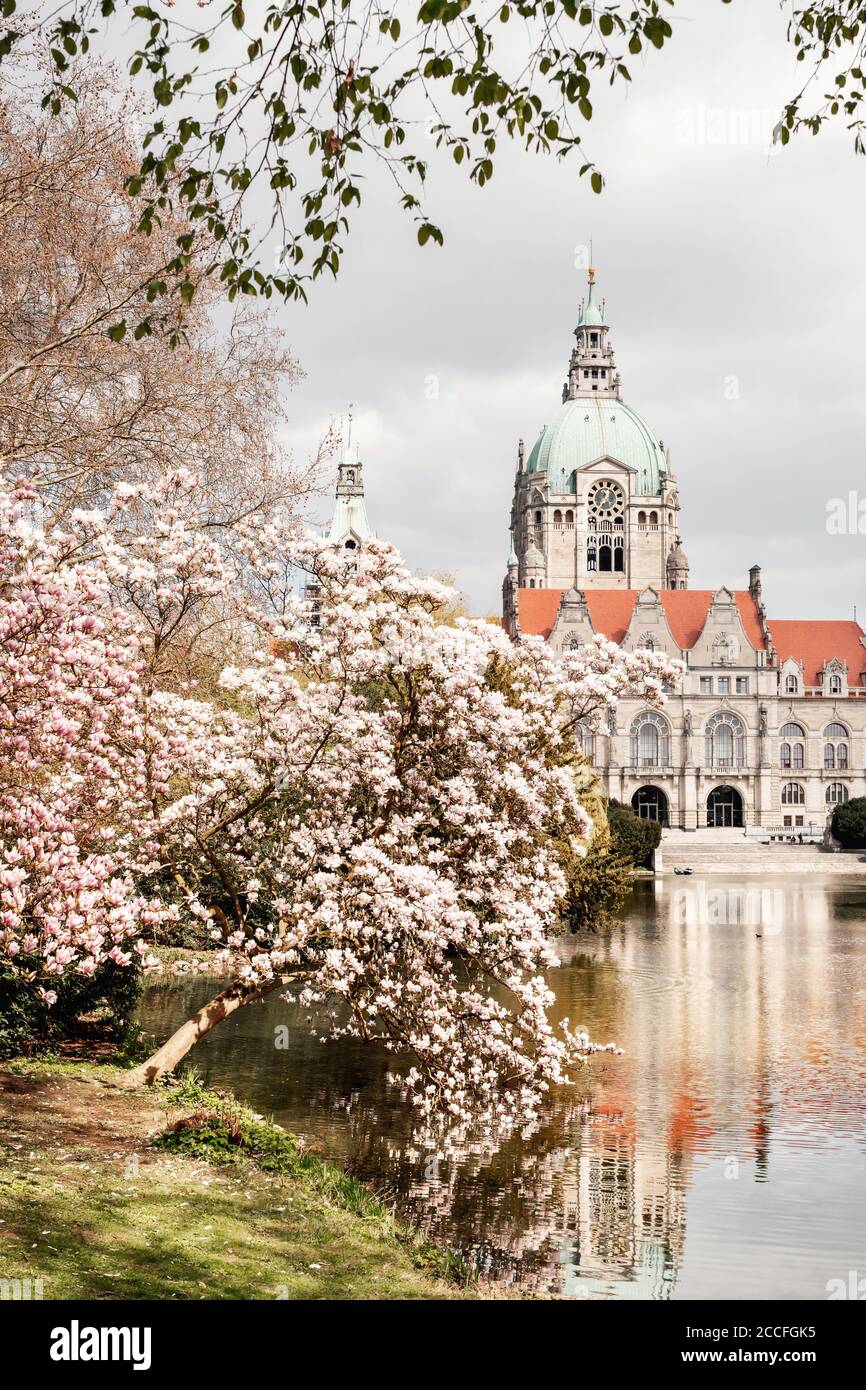 Spring at the New Town Hall in Hanover, Lower Saxony, Germany Stock ...