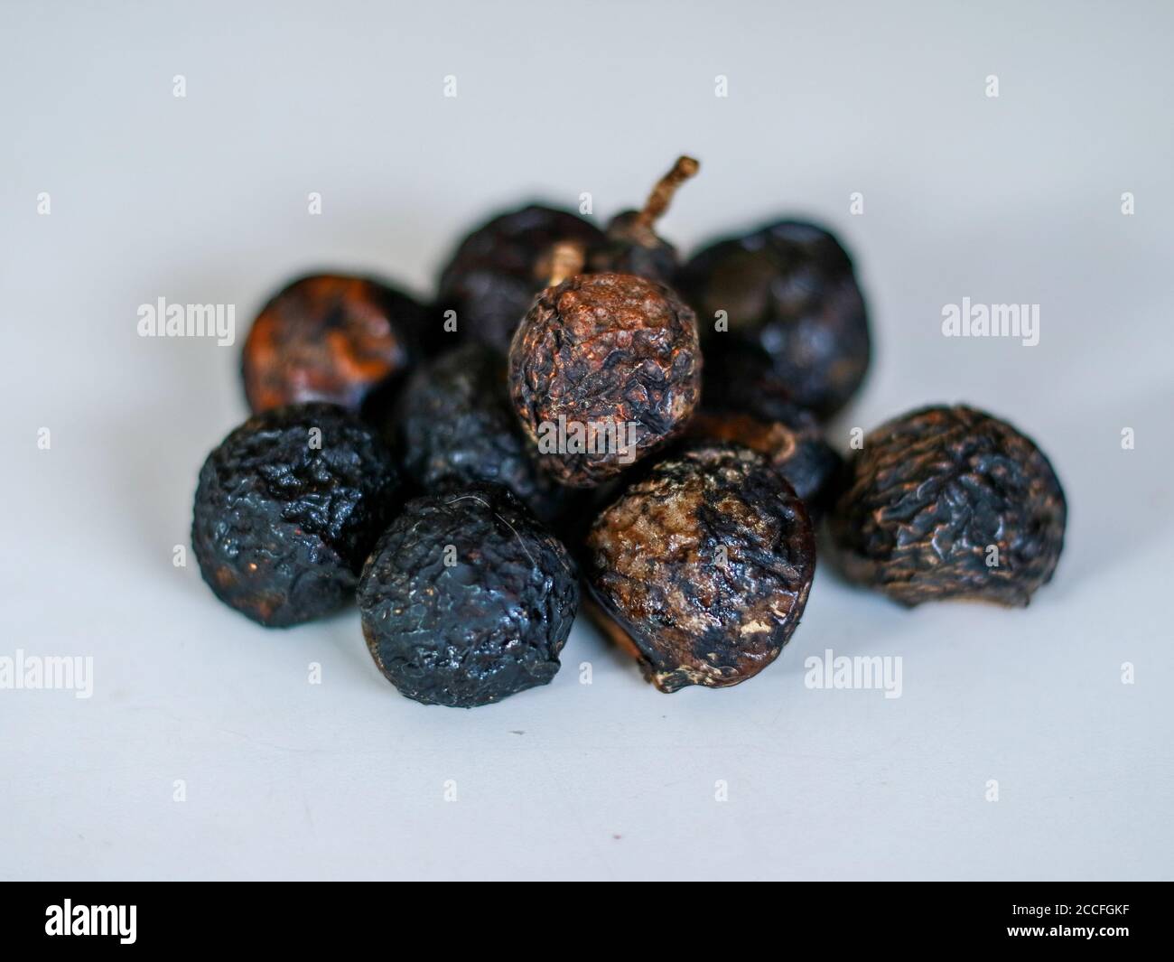 Sapindus rarak (lerak) on white background. In Indonesia lerak is used ...