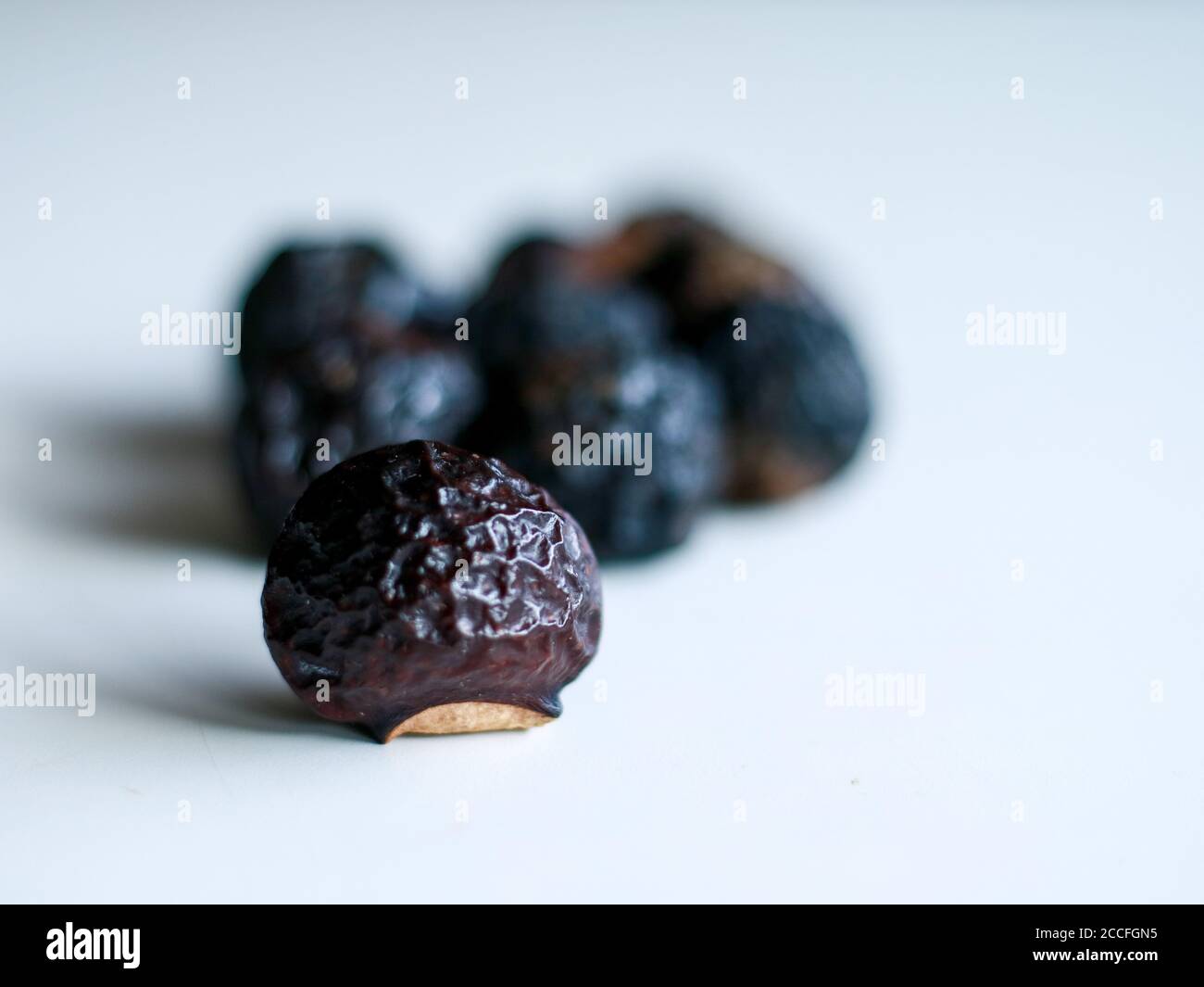 Sapindus rarak (lerak) on white background. In Indonesia lerak is used ...