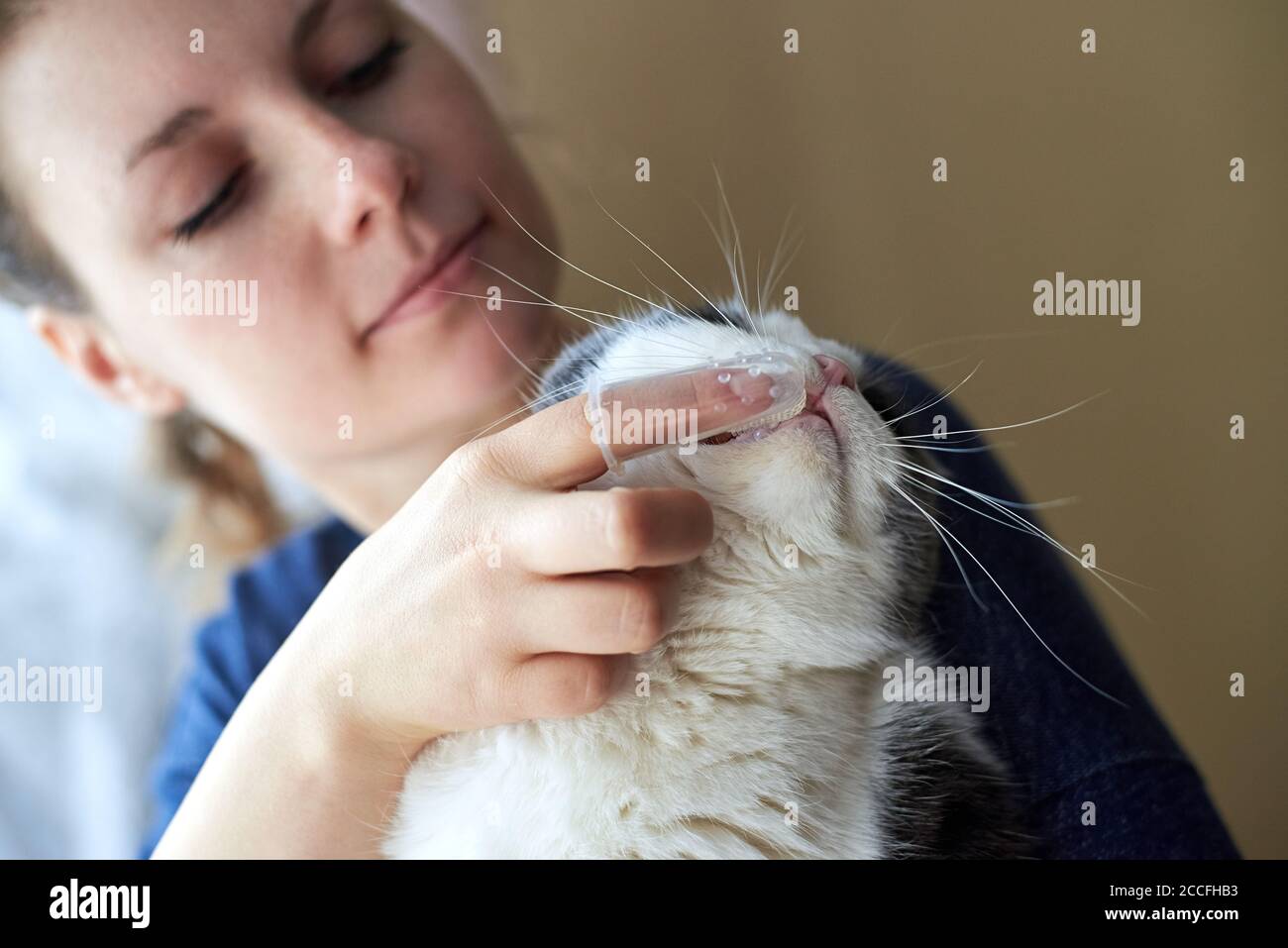 Feline caries hi-res stock photography and images - Alamy