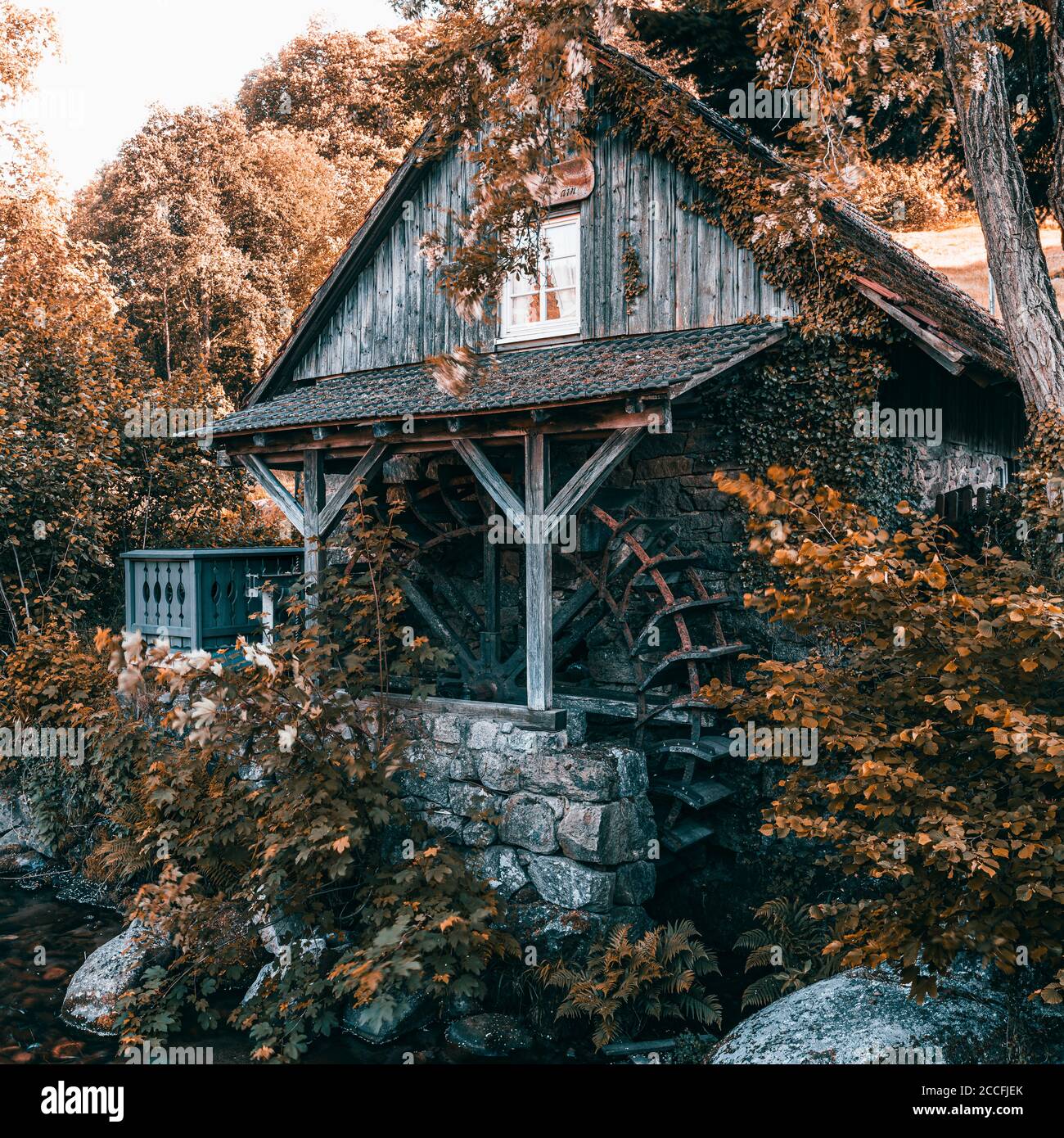Black forest water mill germany hi-res stock photography and images - Alamy