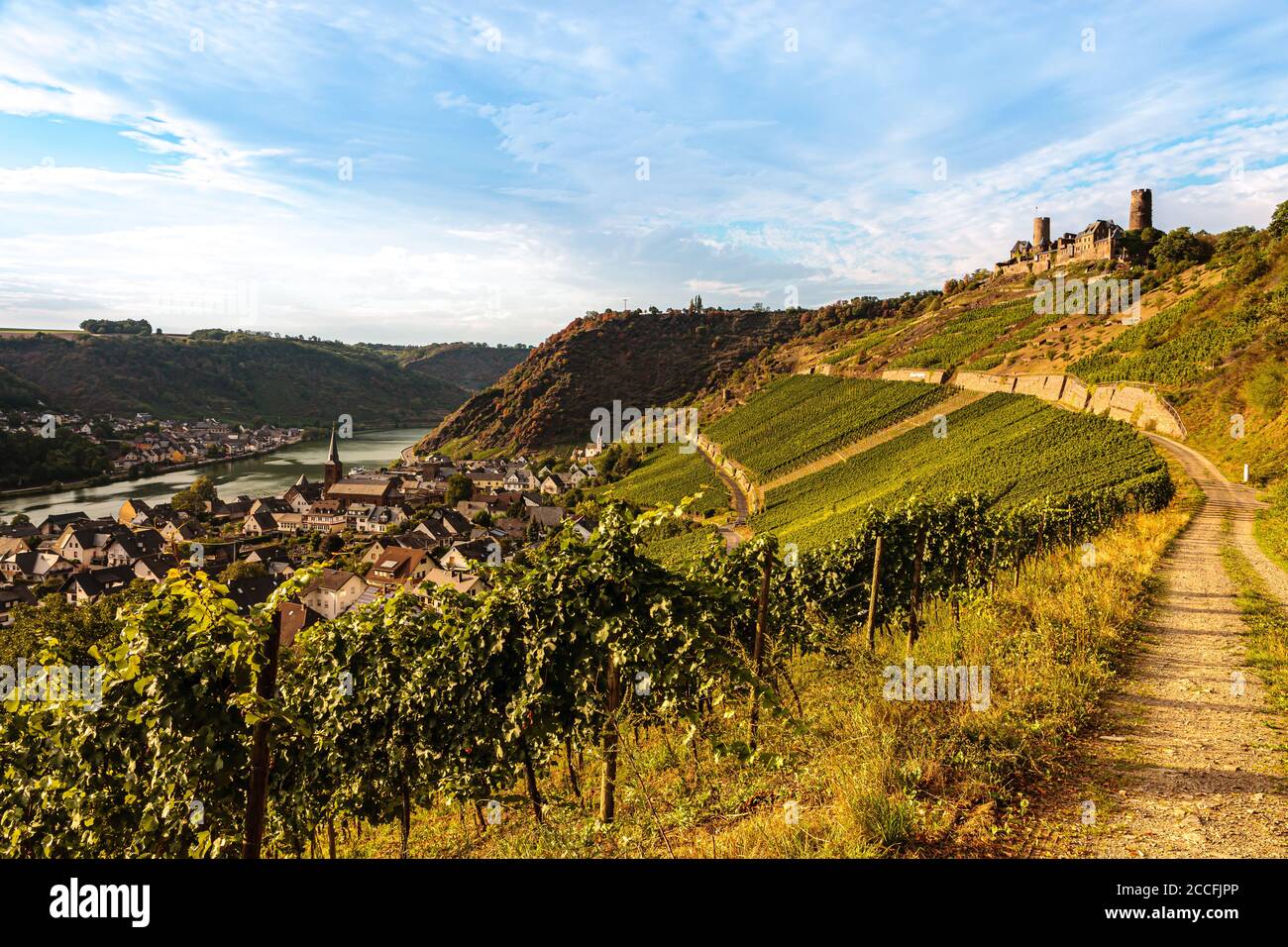 'Thurant' castle, vineyards at Moselle valley, Alken, Germany, Europe ...