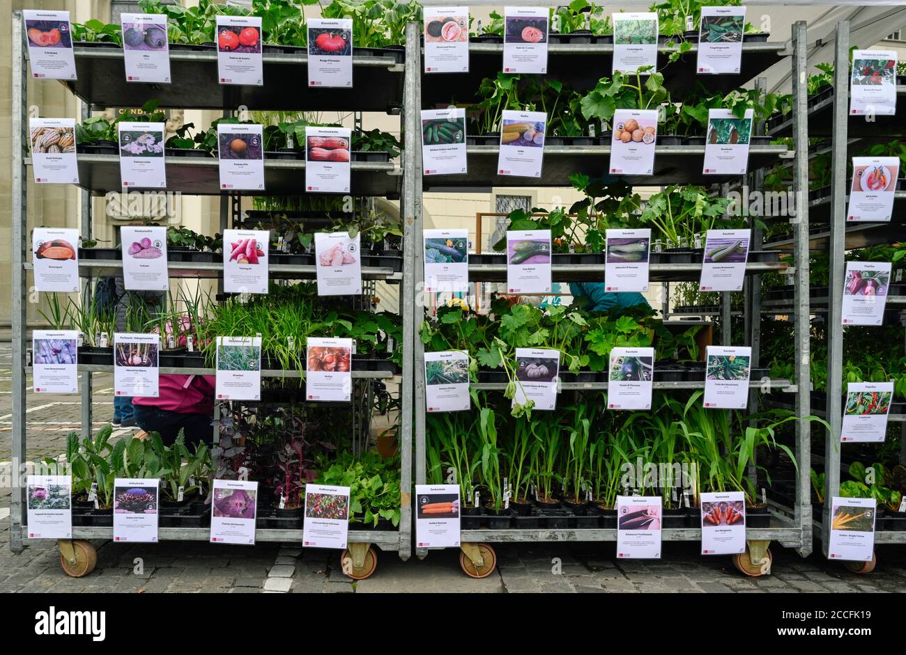 Sales booth seedlings Stock Photo - Alamy