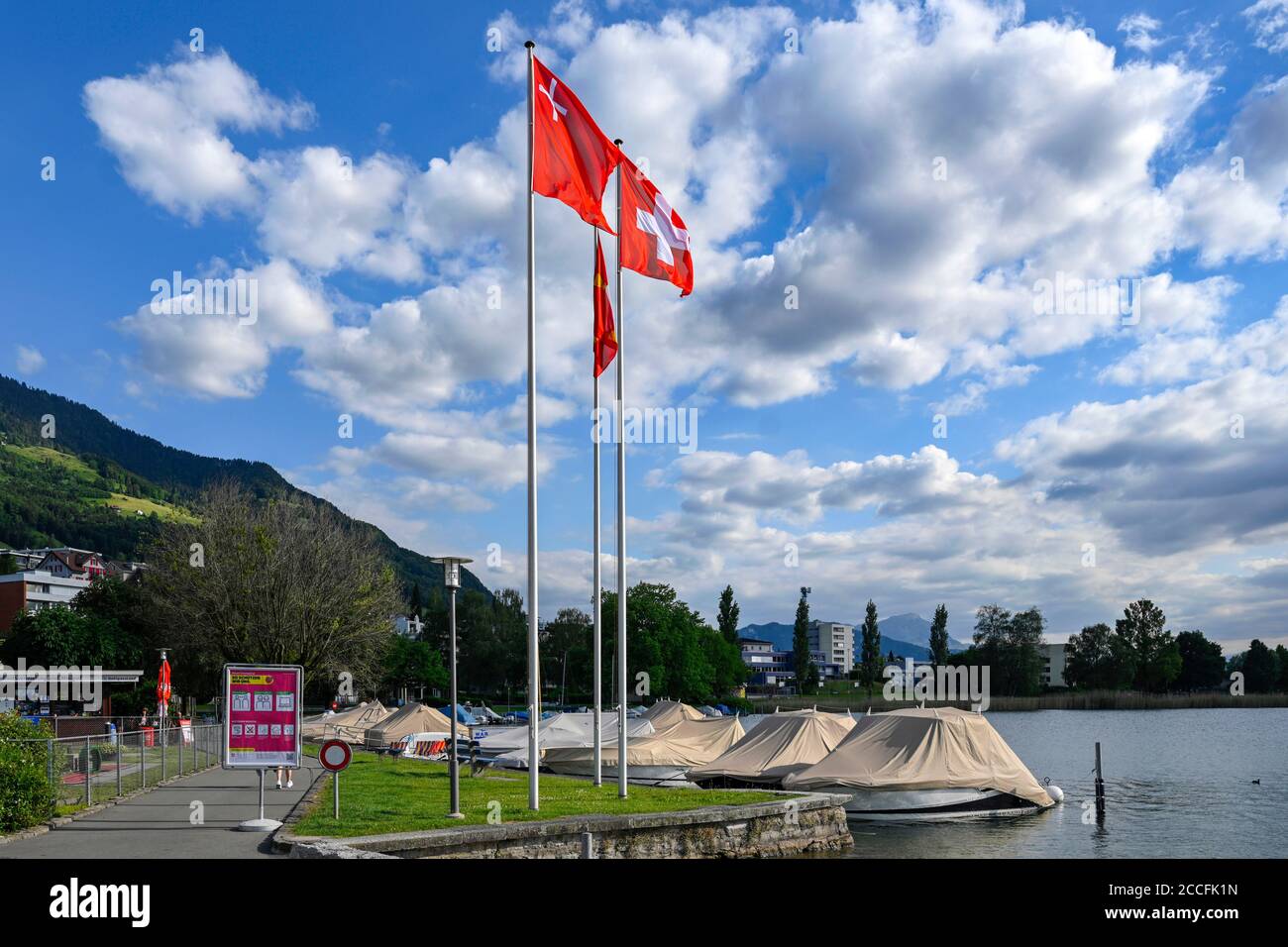 Boat harbor with flags of Schwyz and Switzerland, Küssnacht am Rigi ...