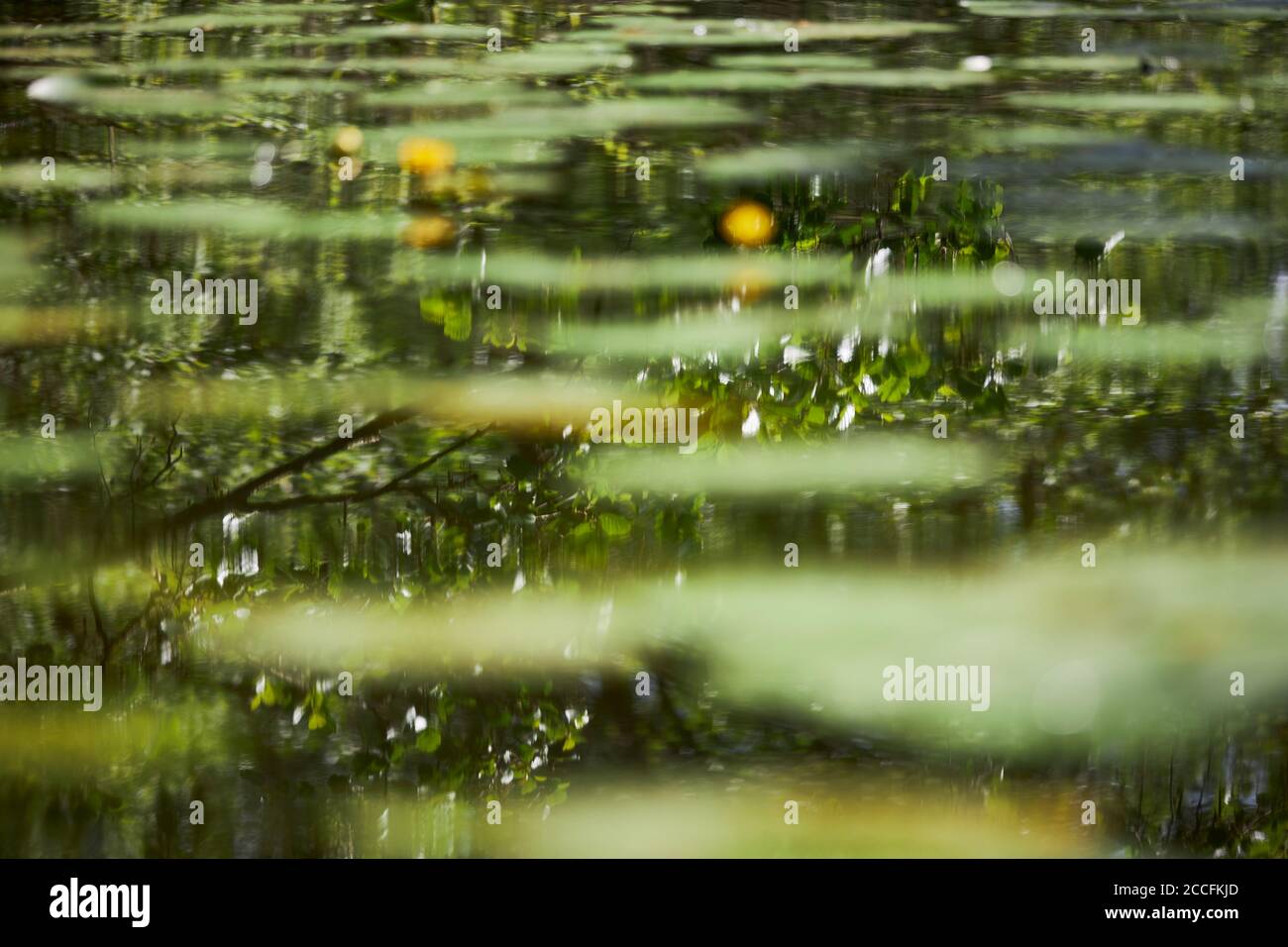 Turbidity flow hi-res stock photography and images - Alamy