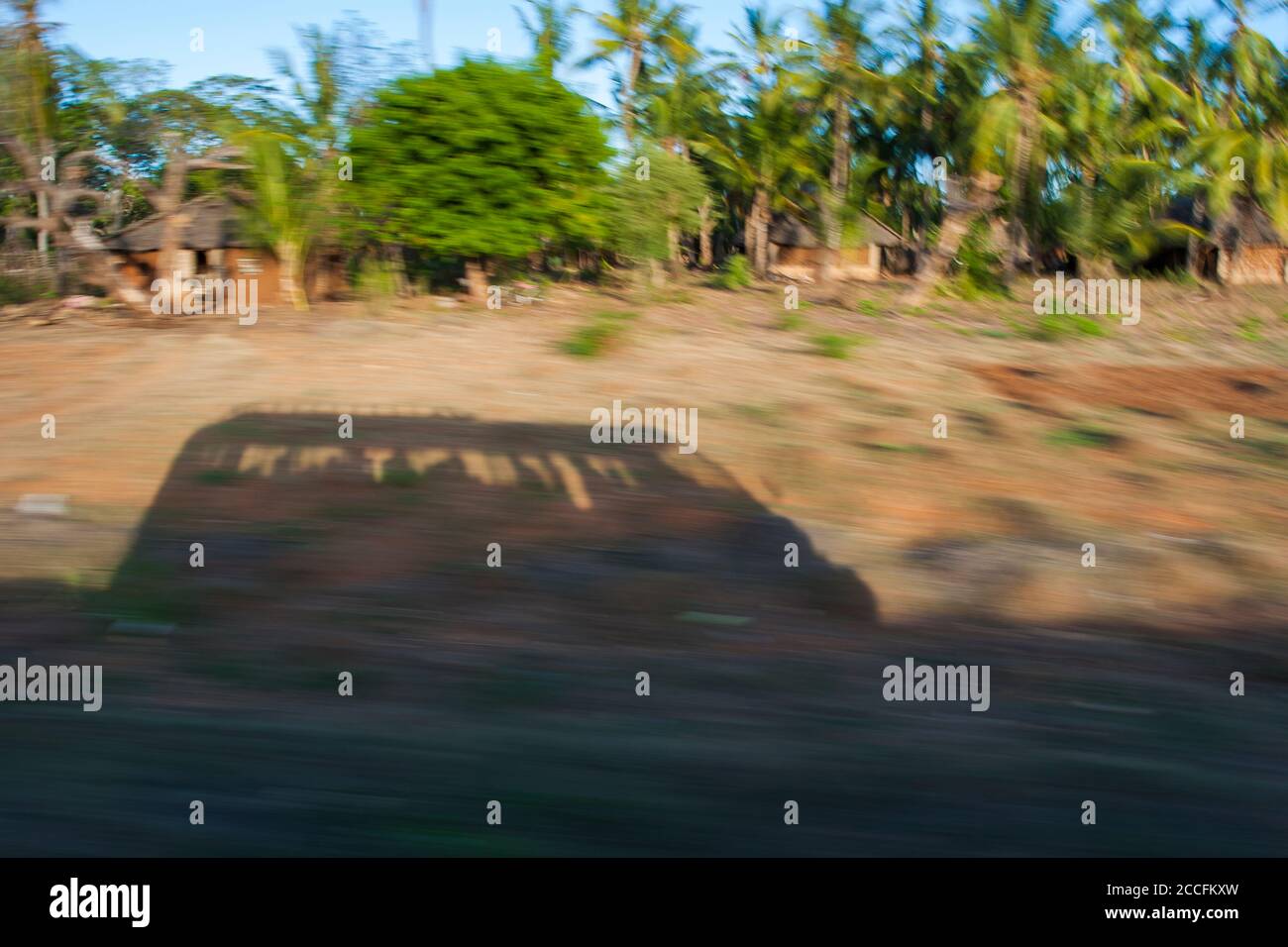 Bus, driving, landscape, palm trees, travel Stock Photo - Alamy