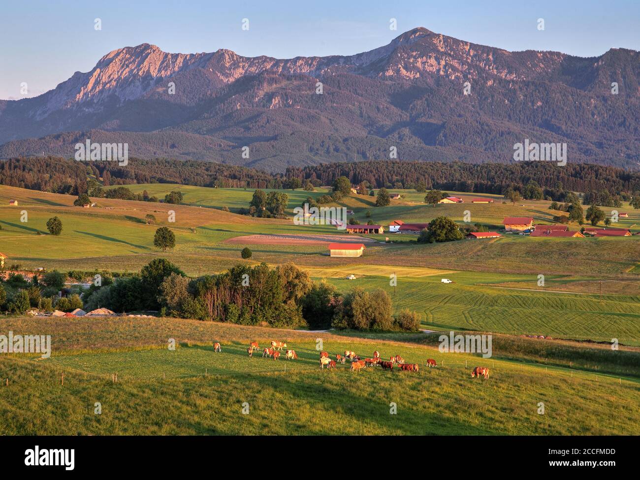 1731m hi-res stock photography and images - Alamy