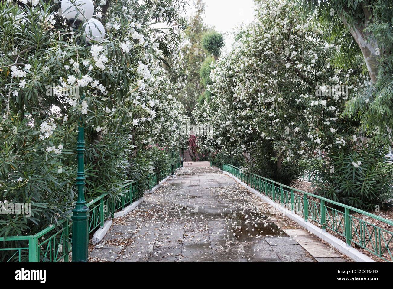 A desert alley after the rain in a park by the sea. Loutraki, Greece ...