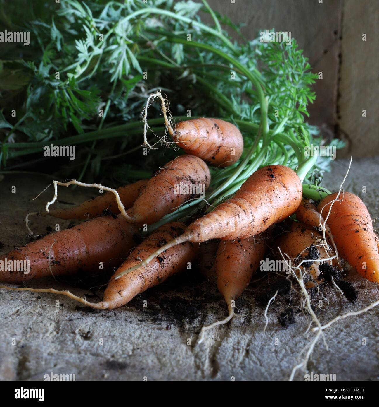 Group of fresh carrots. Closeup. Healthy food concept Stock Photo - Alamy