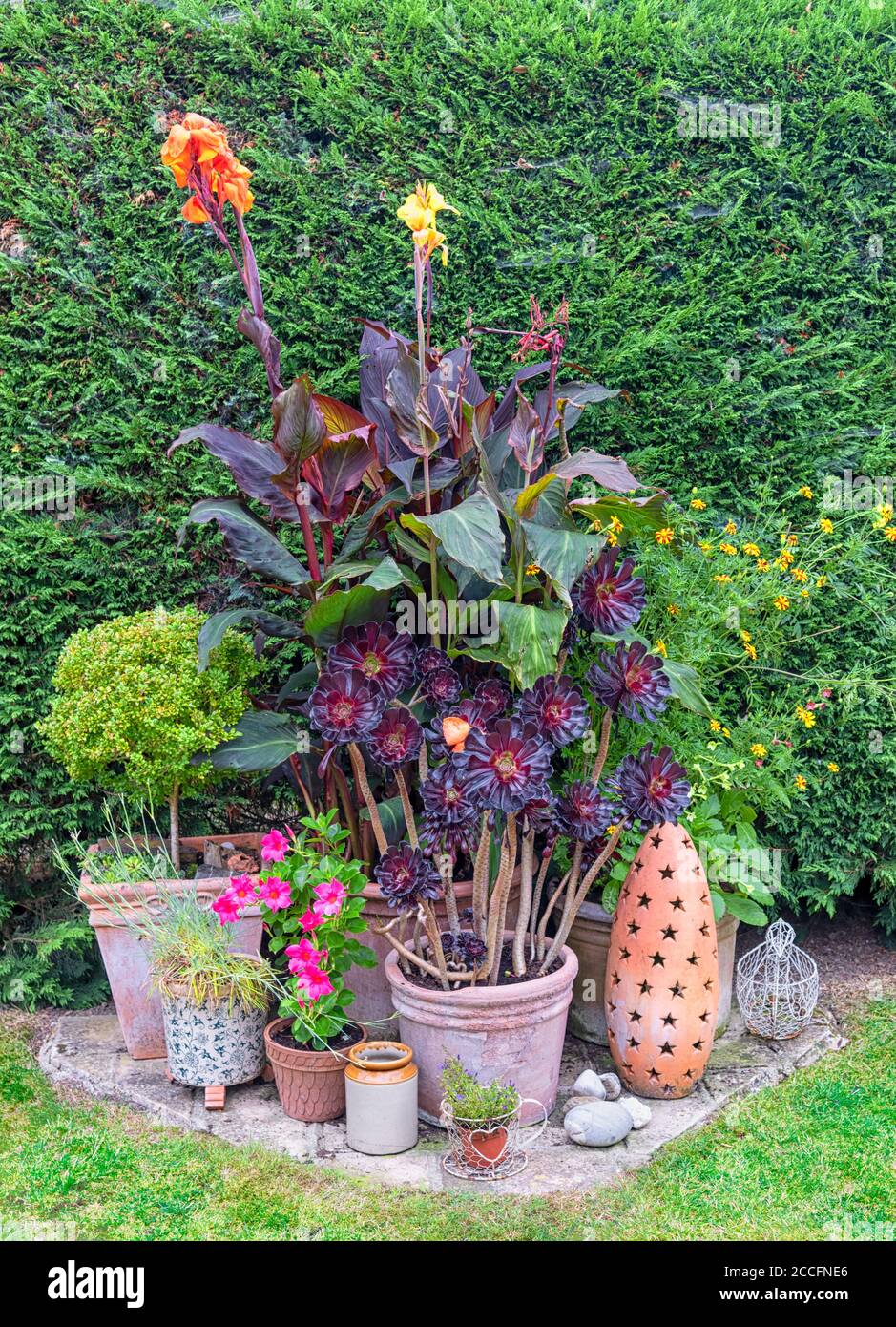 Collection of garden pot plants Stock Photo - Alamy