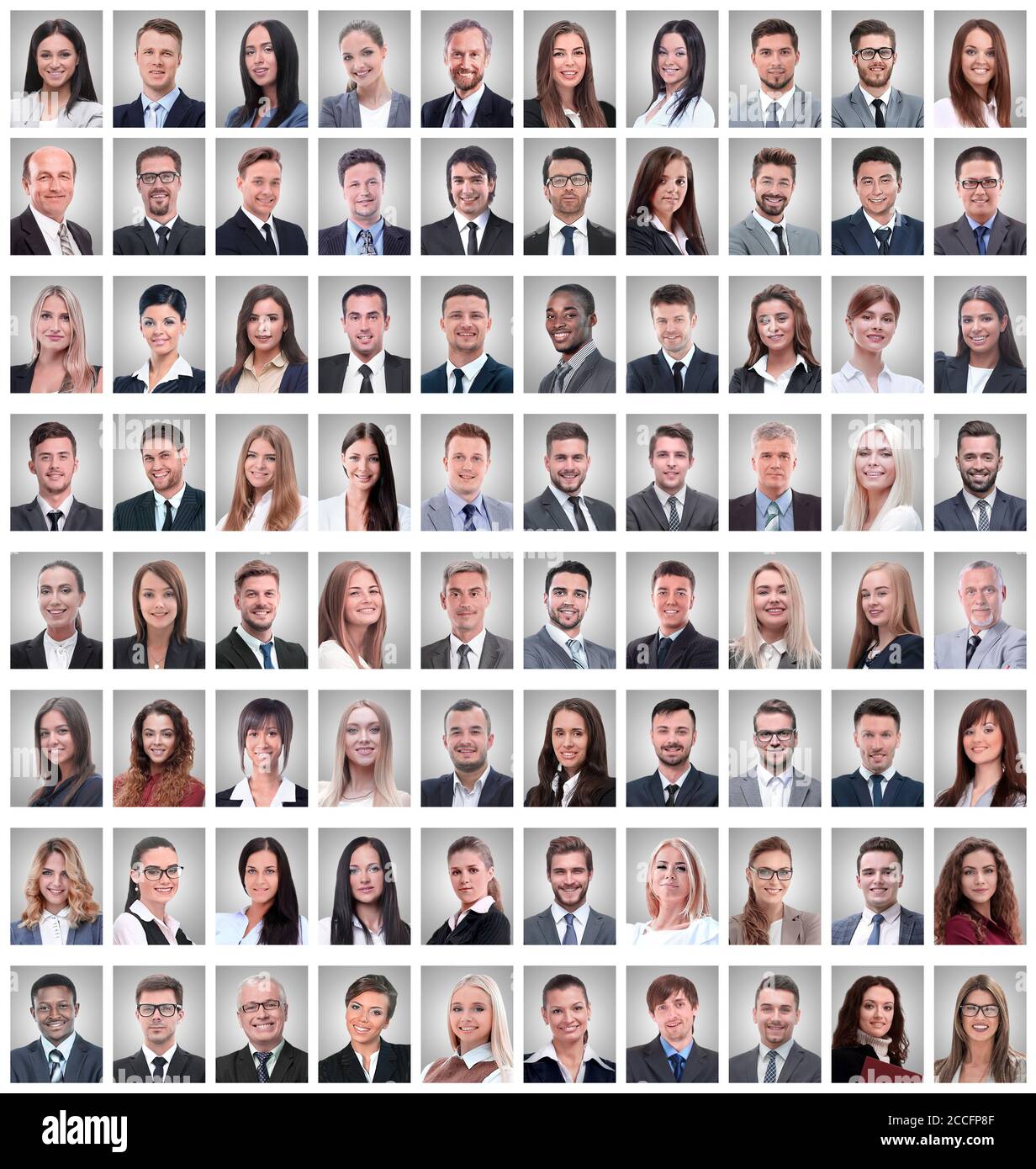 portraits of a group of successful employees isolated on white Stock ...