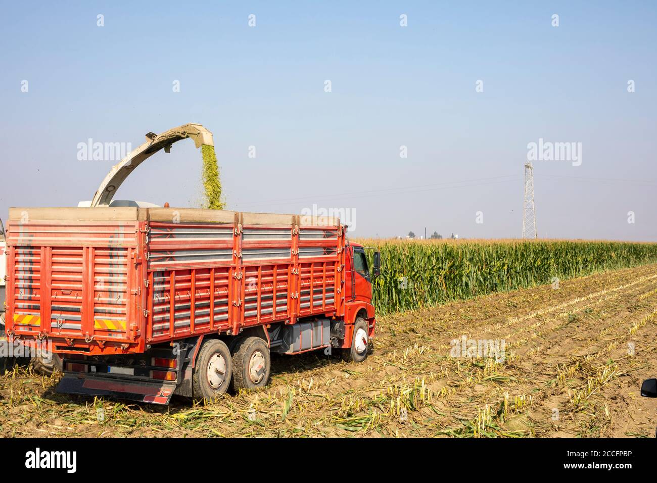 Maize silage hi-res stock photography and images - Alamy