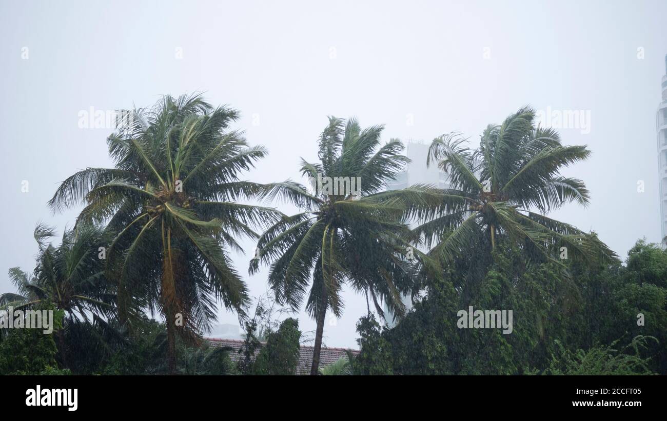 Tropical cyclone nisarga hi-res stock photography and images - Alamy