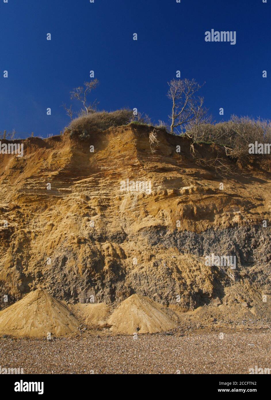 Crumbling cliffs on the Suffolk coast near Bawdsey Stock Photo - Alamy