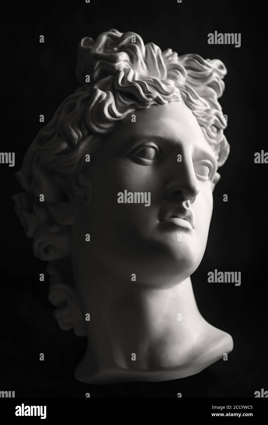 Gypsum statue of Apollo's head. Man. Statue. Isolated. Head. Аполлон на ...