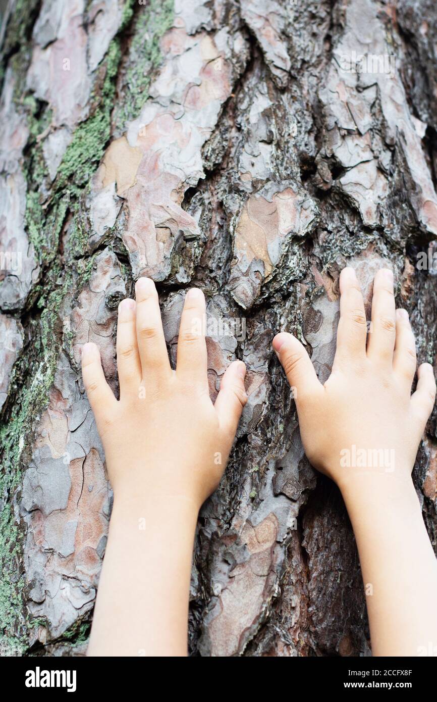 Female hands shape on a trunk of a tree Stock Photo - Alamy