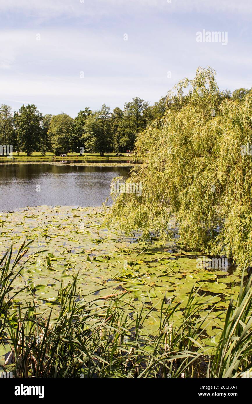 Spring Park. Lake in the spring park. Spring landscape Stock Photo - Alamy