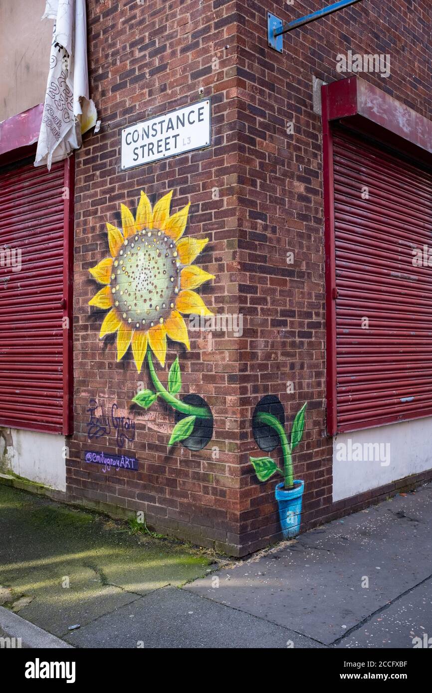 Sunflower graffiti hi-res stock photography and images - Alamy