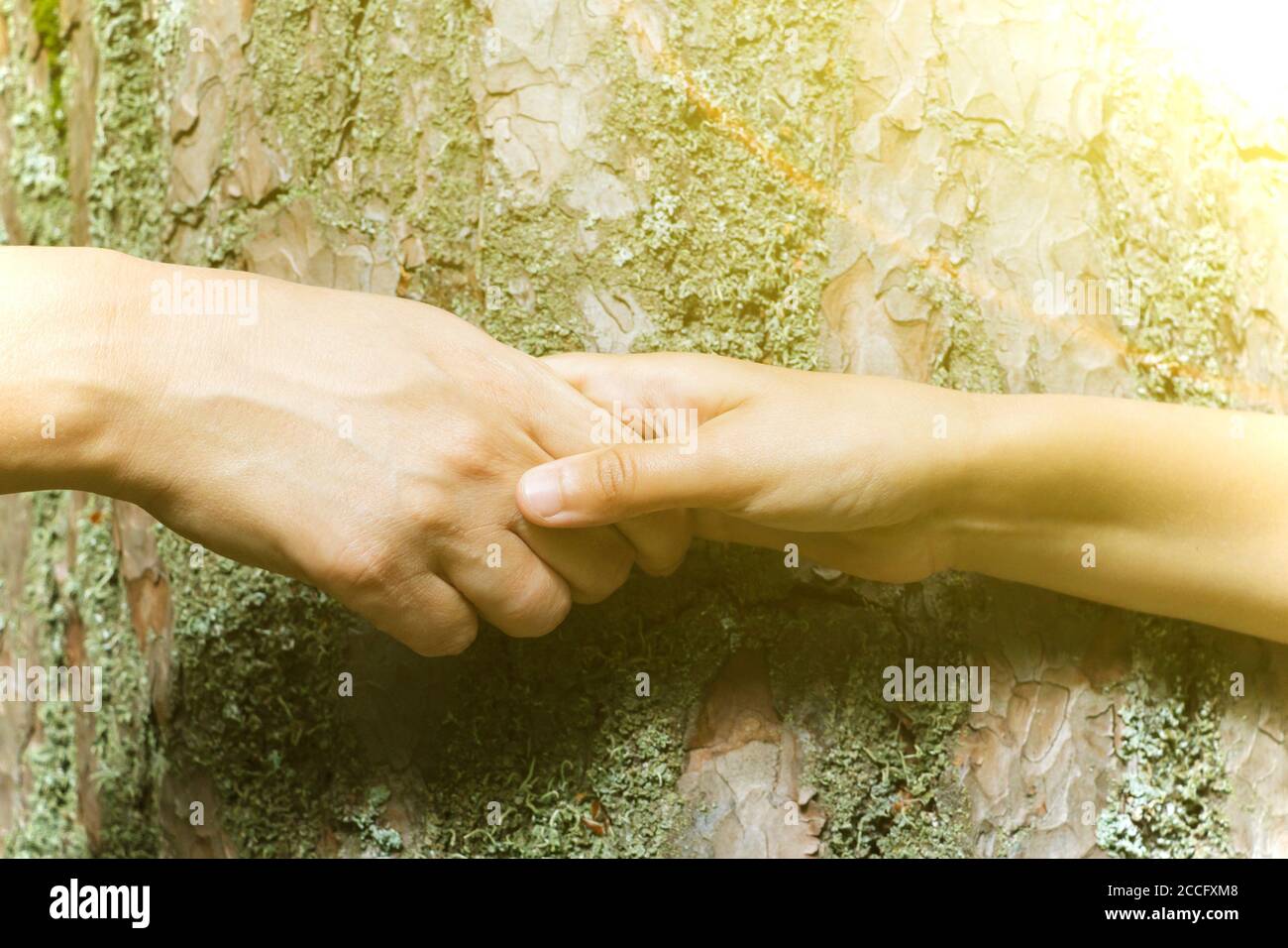 Hand outstretched hi-res stock photography and images - Alamy