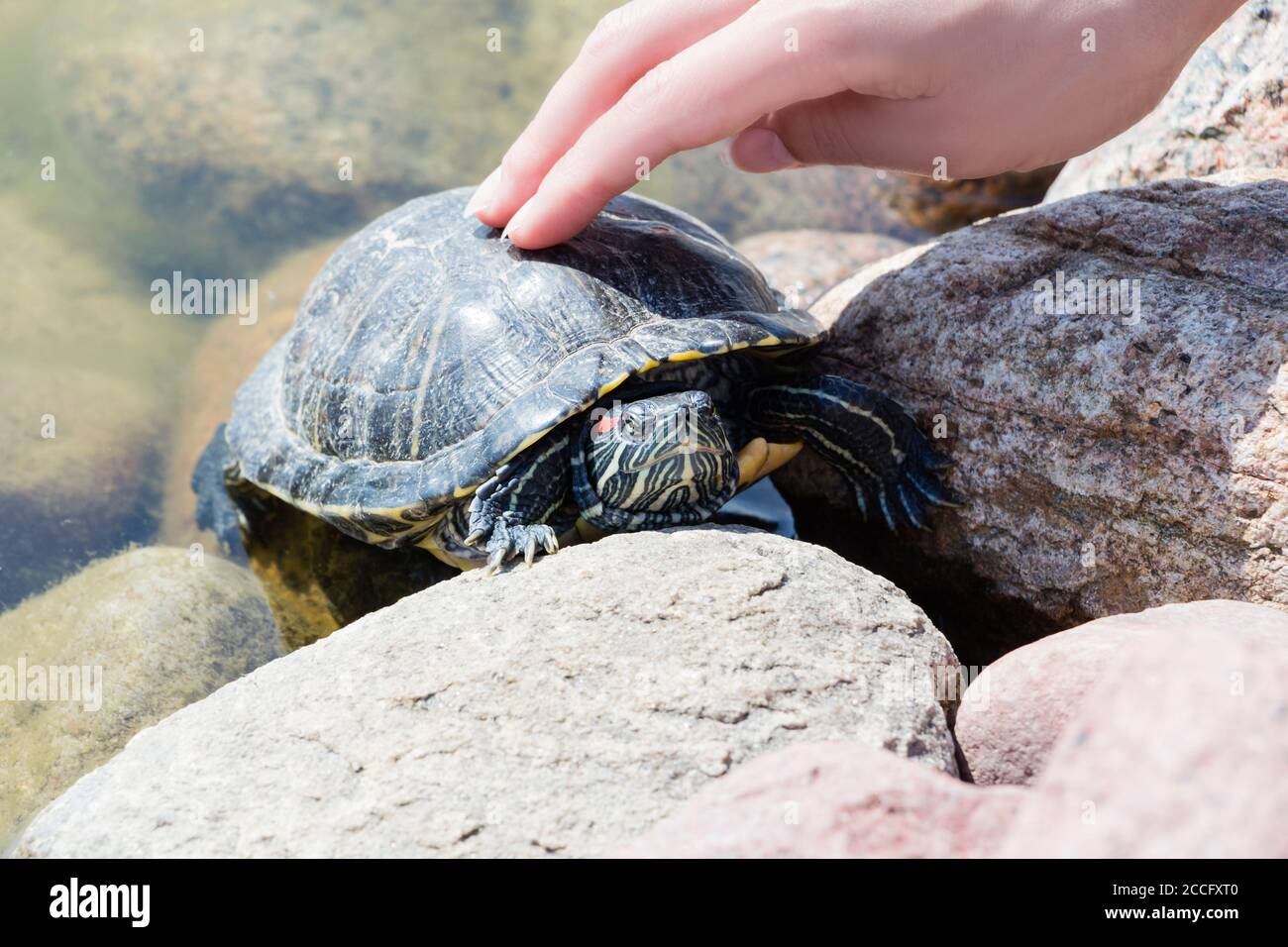 Hand reaching underwater hi-res stock photography and images - Alamy