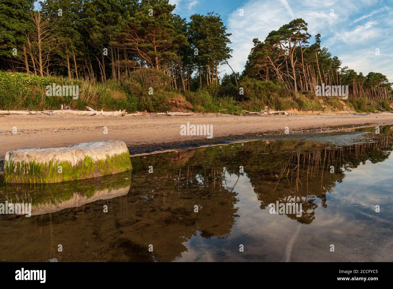 sandy water shoreline with rock and trees reflected in the water as two ...