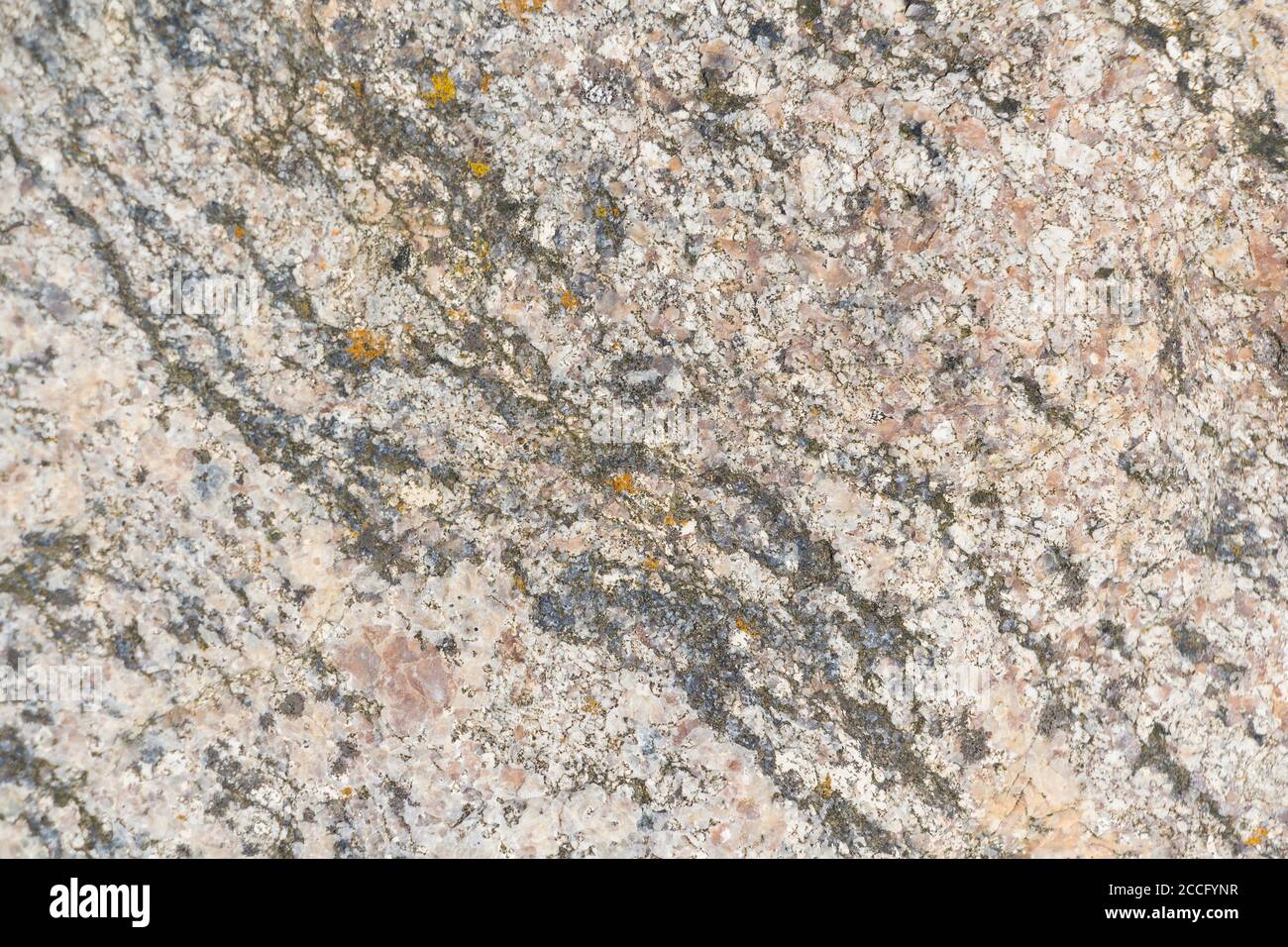 the texture of natural granite. natural stone. close up Stock Photo - Alamy