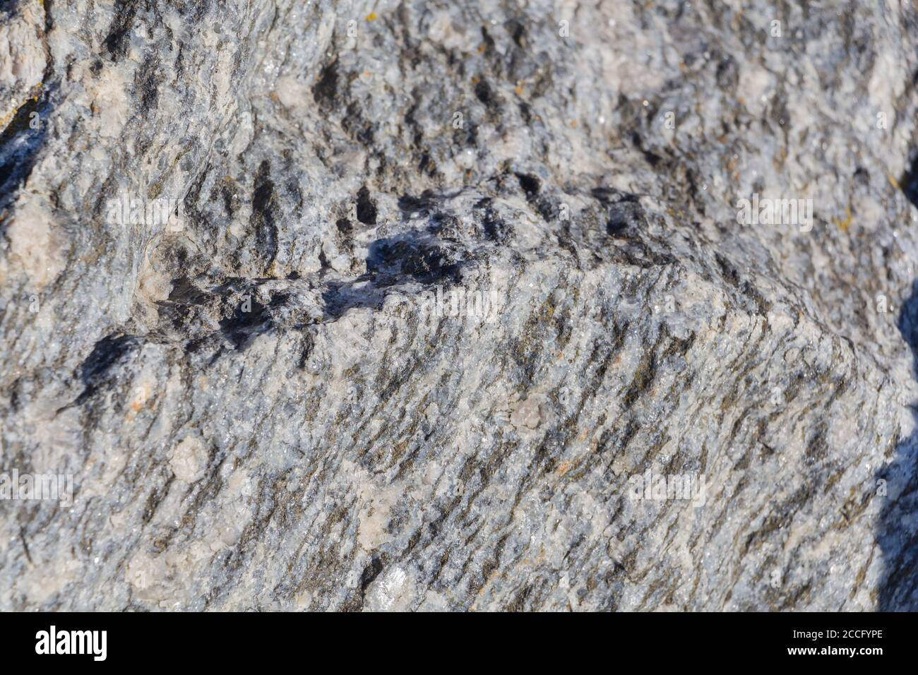 the texture of natural granite. natural stone. close up Stock Photo - Alamy