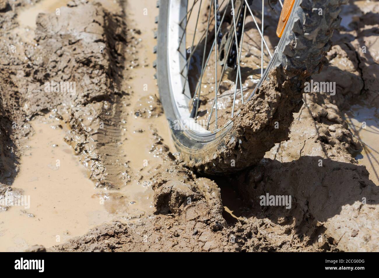 the Bicycle wheel is stuck in the mud. Close up Stock Photo - Alamy