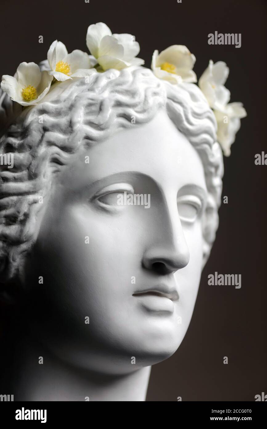 Gypsum statue of Venus head. Statue. Renaissance epoch. Gypsum copy of ...