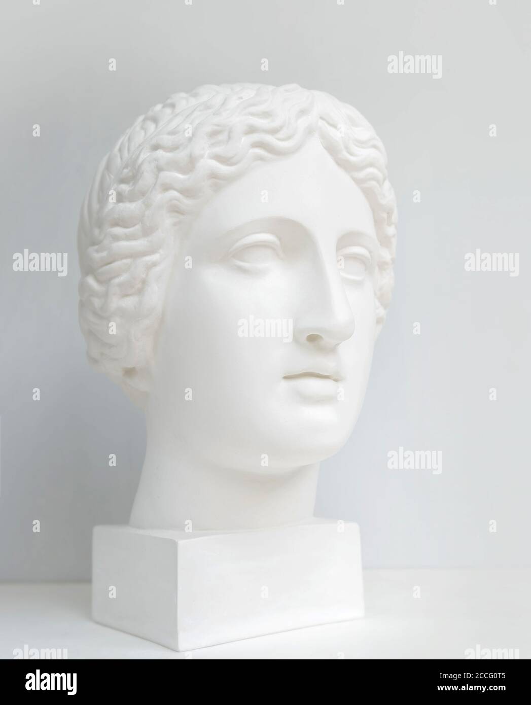 Gypsum statue of Venus head. Statue. Renaissance epoch. Gypsum copy of ...