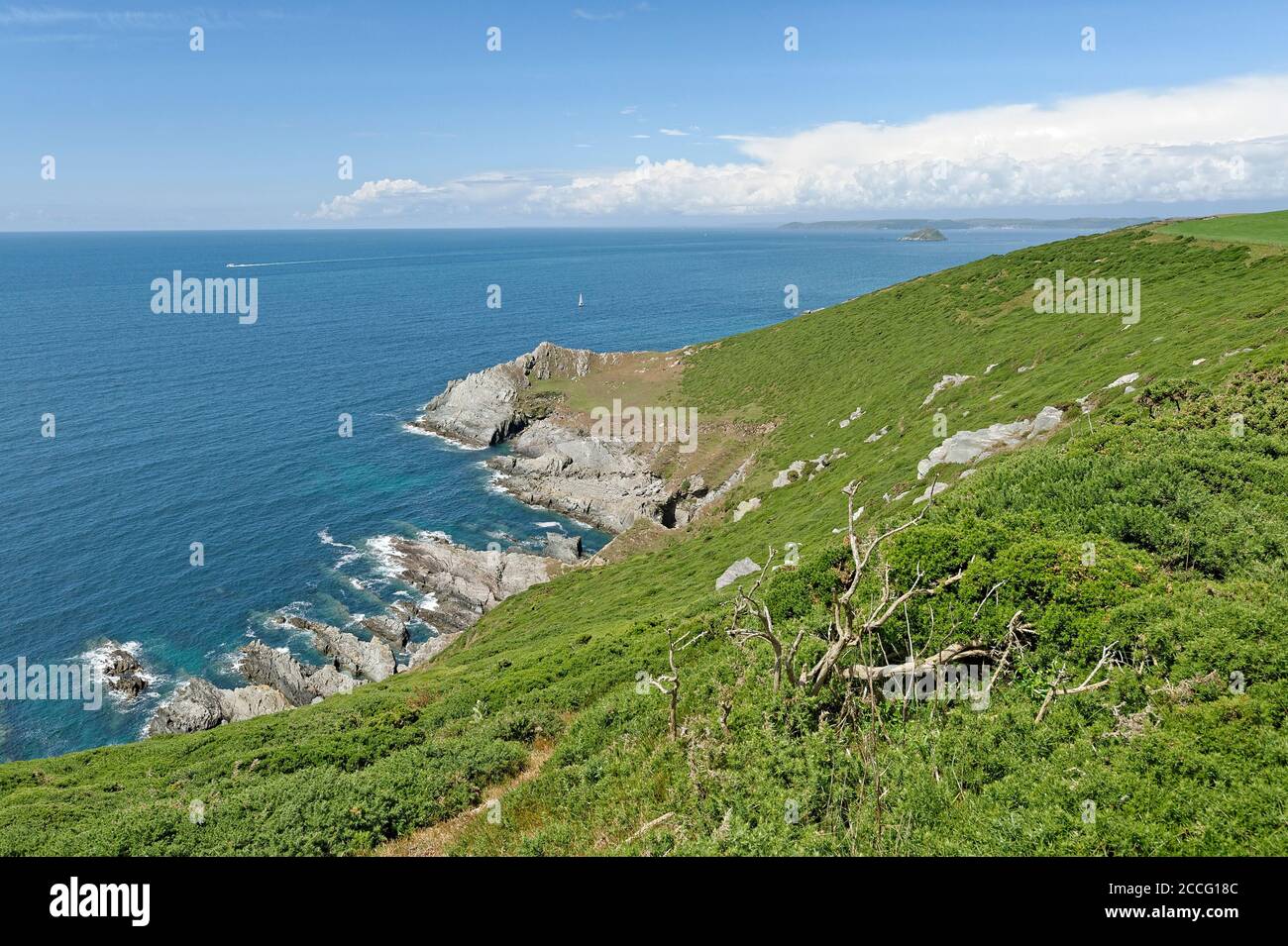devon south west coastal path England UK Stock Photo - Alamy