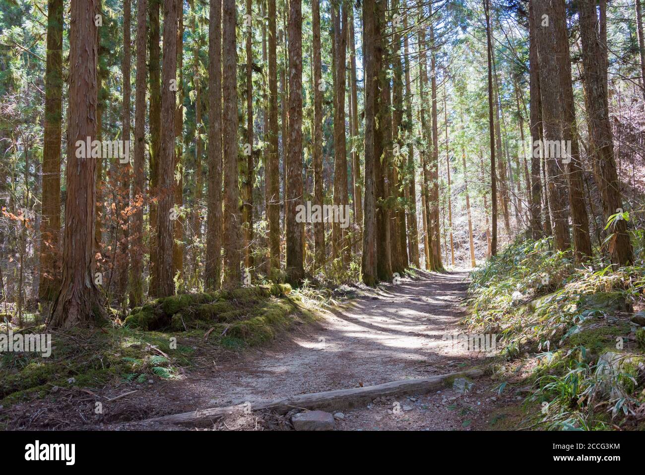 Beautiful scenic view from Between Tsumago-juku and Magome-juku on ...