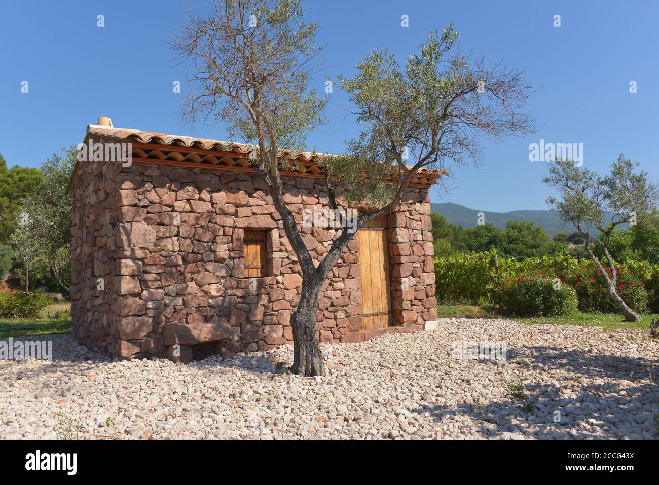 Shed with olive tree in Provence Stock Photo - Alamy